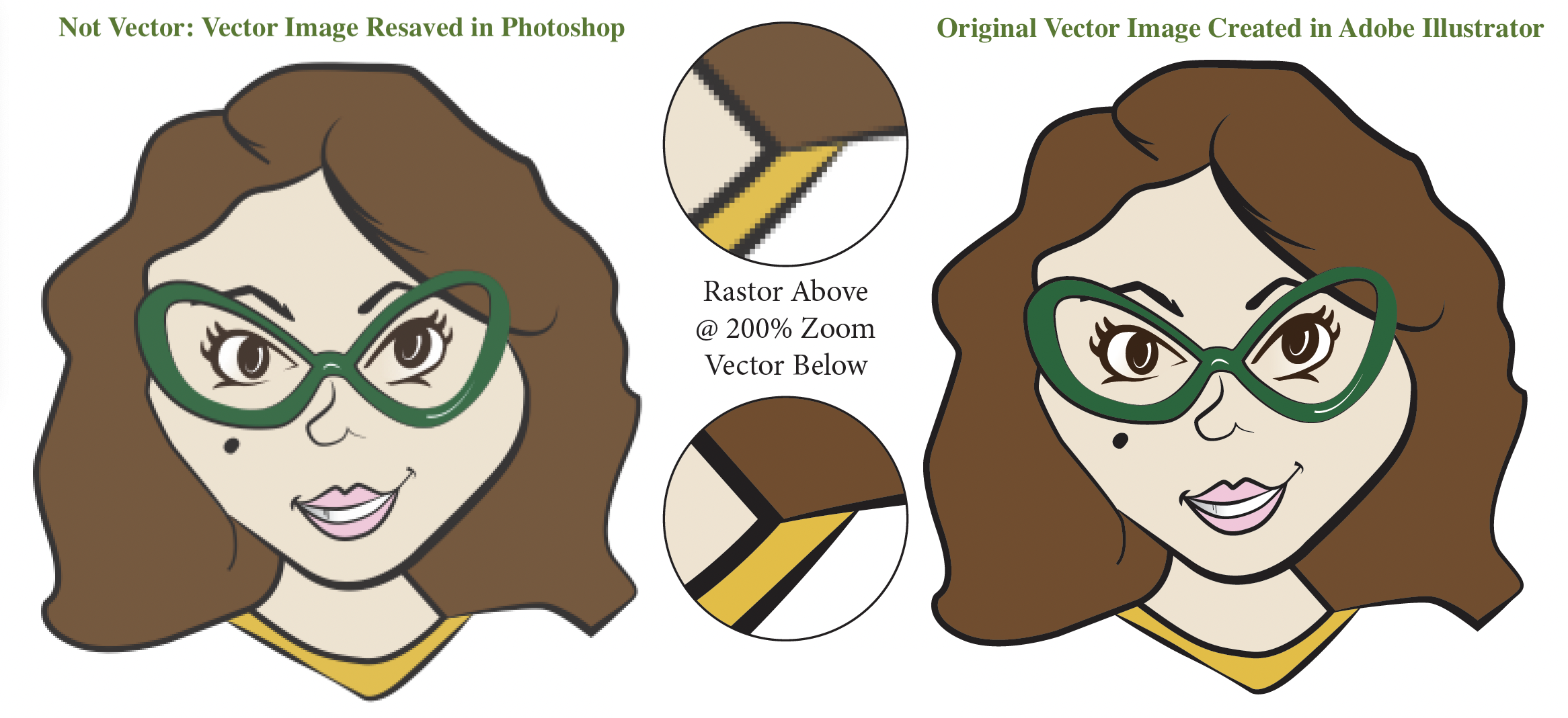 What is a Vector File? – The Popwell Collection